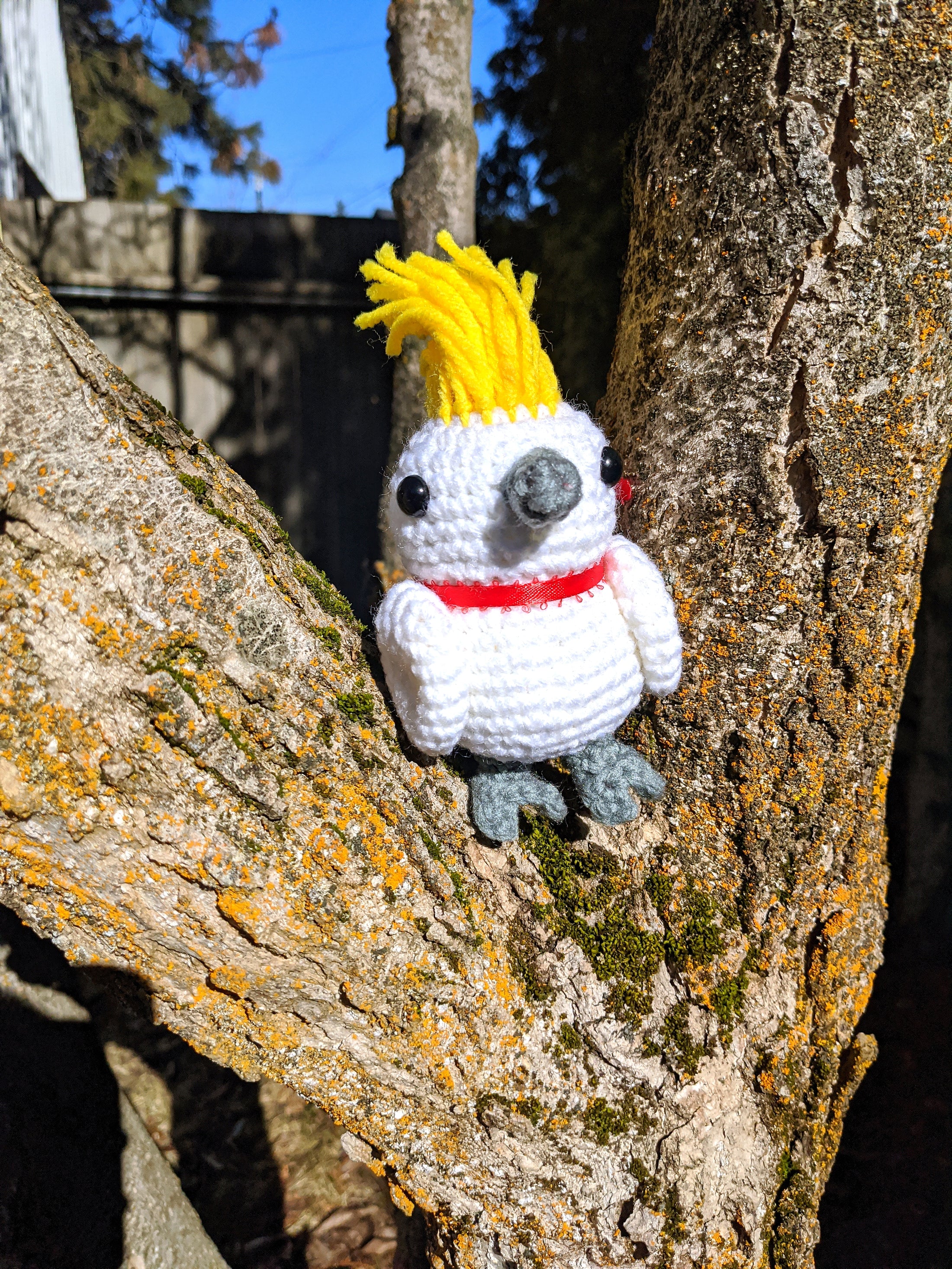 Cockatoo Crochet pattern – Mud's Yarn
